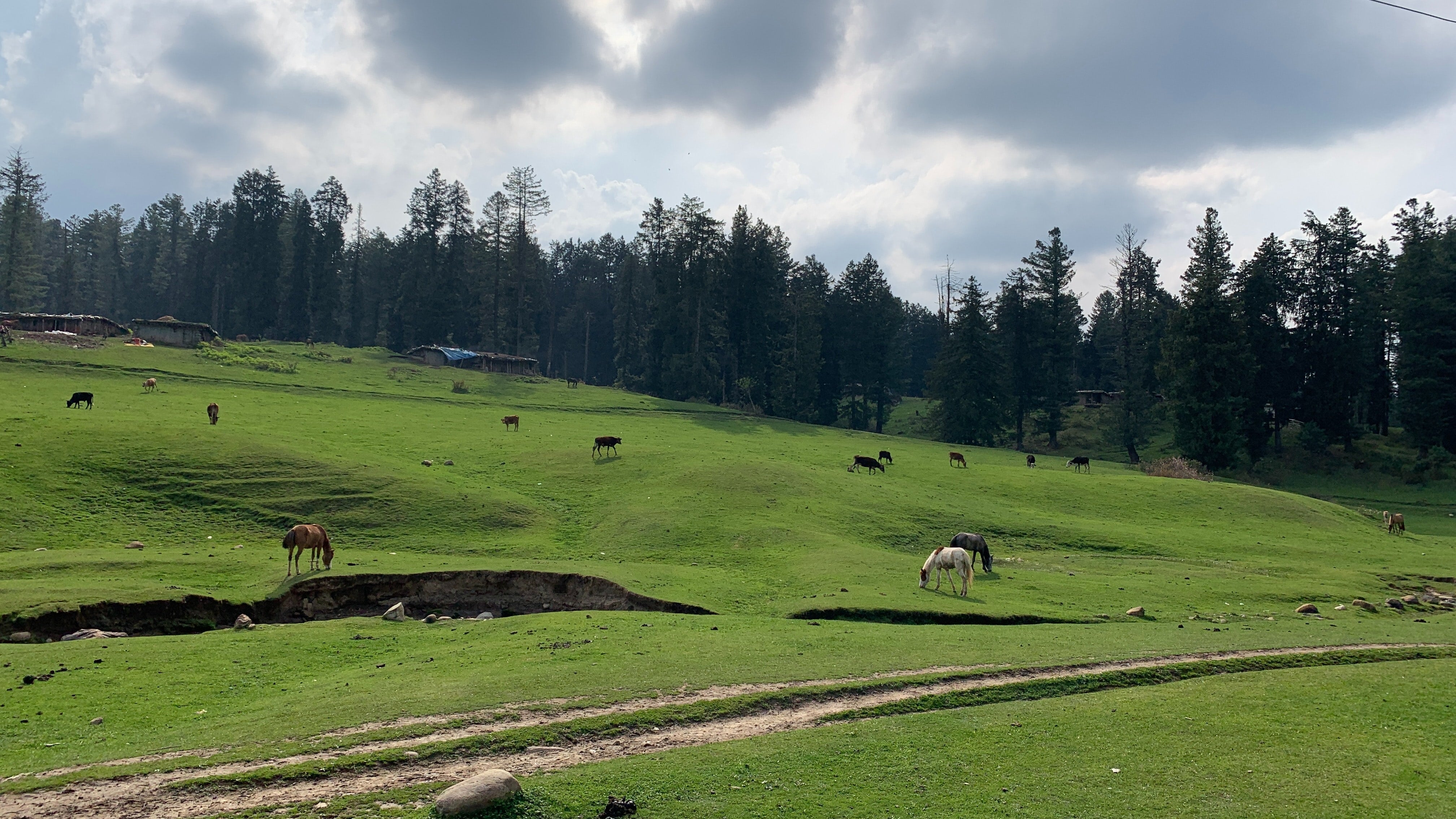 Doodhpathri, Kashmir – Joyn Travels
